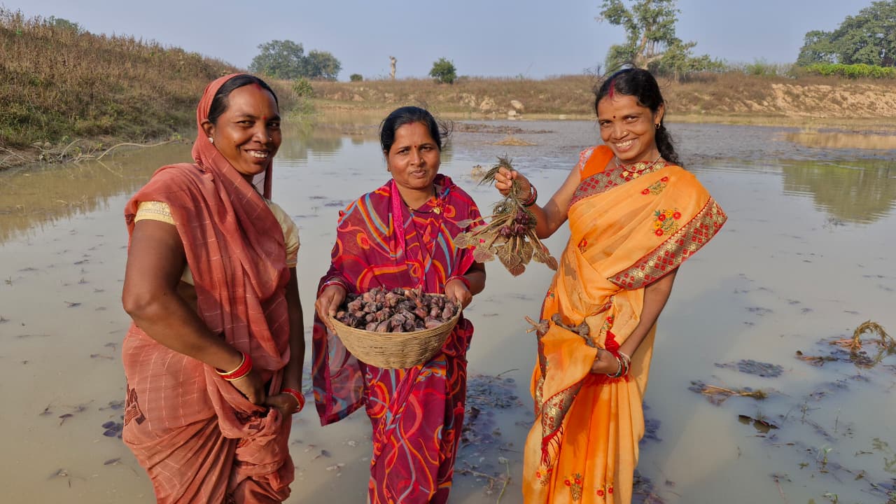 महिला स्व-सहायता समूह की मेहनत रंग लाई, मछली पालन और सिंघाड़ा खेती से ...